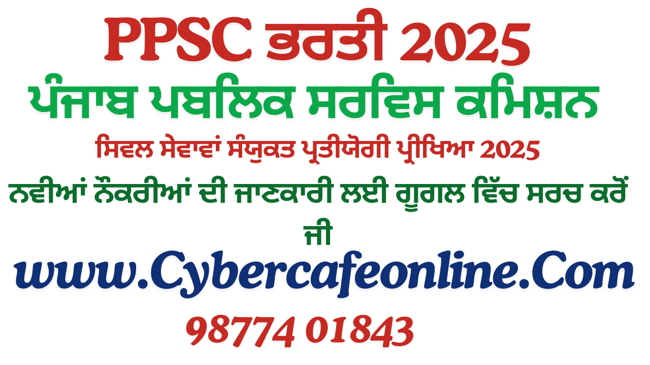 PPSC Civil Services Online Form 2025 - CYBER CAFE ONLINE